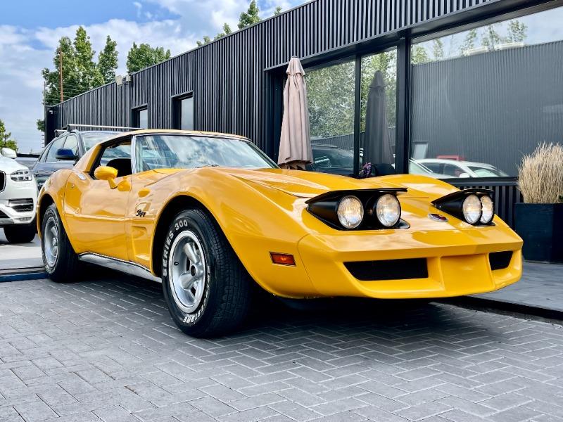 CHEVROLET CORVETTE C3 STINGRAY 1974 BADGE 25 ANN (209128) - Car Concept